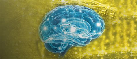 Pbs Distribution Memory Hackers