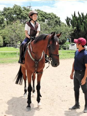 ソロでも楽しい夏休み1乗馬 愛らしさにこぼれる笑み おでかけトピック 兵庫おでかけプラス 神戸新聞NEXT