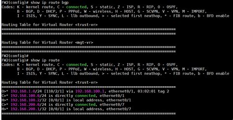 Bgp引入缺省路由配置案例 山石网科知识库