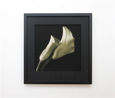 Calla Lilies Nelson City Framers