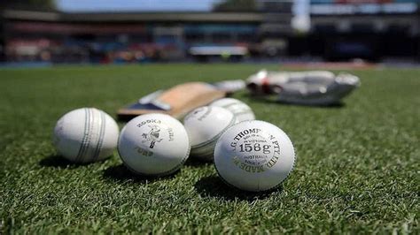 Match Fixing Attempt Bcci Bans Former Mumbai T20 League Team Owner Gurmeet Singh Bhamrah