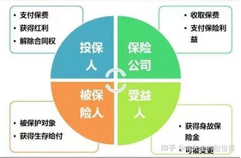 保险中常见的四个人投保人被保险人受益人和保险人 知乎
