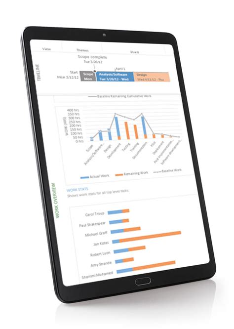 Microsoft Project Consulting Integent