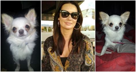 Tamara Roglić Ajka I Nina Su Moje Velike Ljubavi