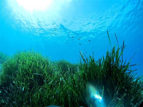 Emma Ralph Posted On Linkedin