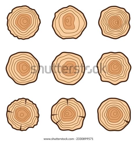 Tree Rings Vector Line Graphic Set Stock Vector Royalty Free Shutterstock
