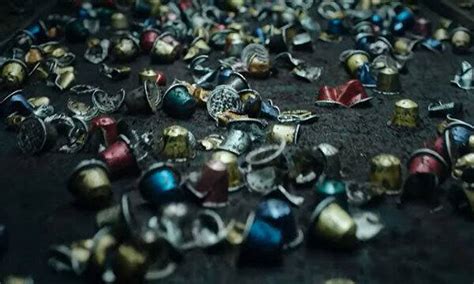 100 퇴비화 커피볼 등장 분해에 500년 걸리는 캡슐커피 대체할까