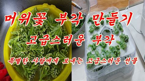 머위꽃 부각 만드는 방법 Youtube