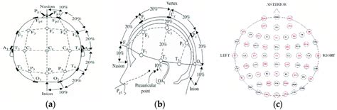 Electrode Distribution Diagram 18 A Vertex Electrodes Distribution
