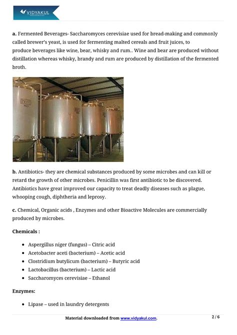 Microbes In Human Welfare Class 12 Notes Vidyakul