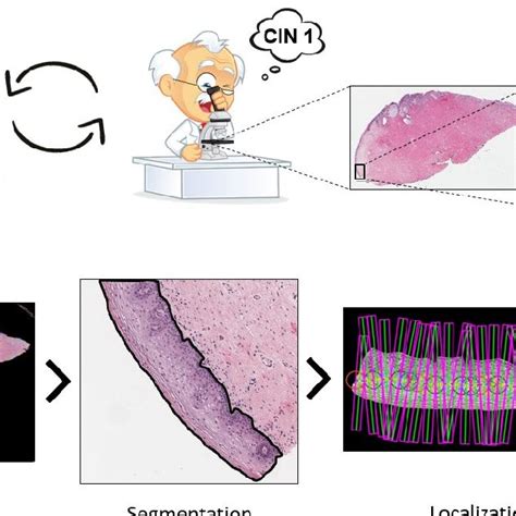 Benchmark Cin Classification Results 18 Download Scientific Diagram