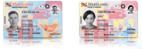 Maryland Drivers License