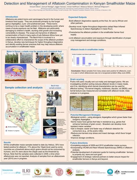 Detection And Management Of Aflatoxin Contamination In Kenyan