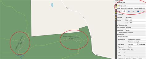 In QGIS How Can I Customize The Label On A Specific Feature Within A Shapefile Geographic