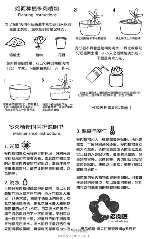 种植说明书 堆糖美图壁纸兴趣社区