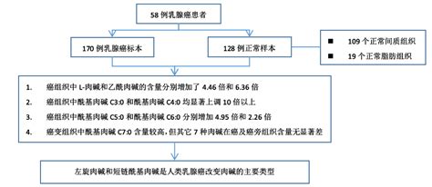 【if 11 6】空间代谢组学丨让乳腺癌中肉碱代谢重编程可视化 知乎