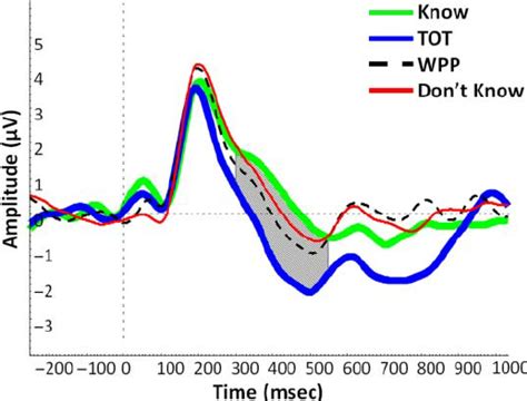 Stimulus Locked Grand Averaged Erp Waveforms For Each Response Download Scientific Diagram