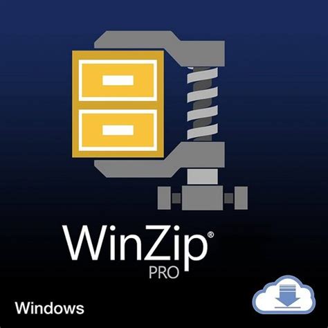 Winzip Pro 28 0 Build 16002