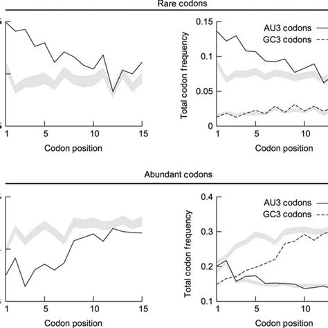 Rare And Abundant Codons A Rare And Abundant Codons Were Defined For