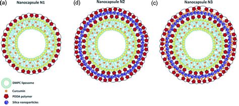 An Illustration Of A Nanocapsule N1 B Nanocapsule N2 And C