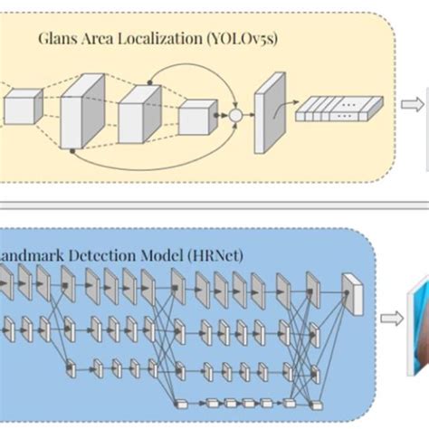 Schematic Of The Proposed Ai Based Framework Showing Localization Of