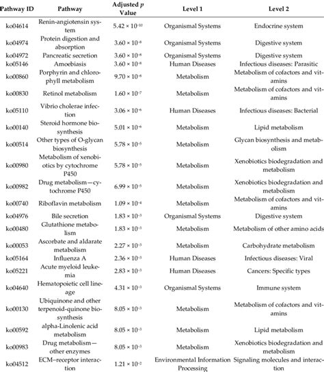 Kegg Pathway Enrichment Analyses Results For The Differentially
