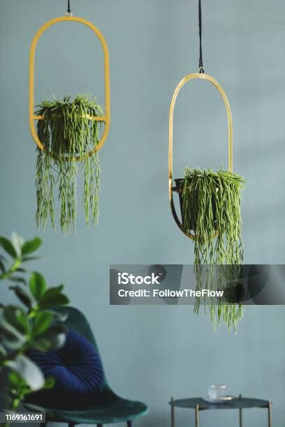 녹색 벨벳 의자 디자인 커피 테이블 베개 매달려 골드 화단 식물과 우아한 액세서리와 거실의 세련되고 고급스러운 인테리어 디자인 템플릿 현대적인 홈 장식 0명에 대한 스톡