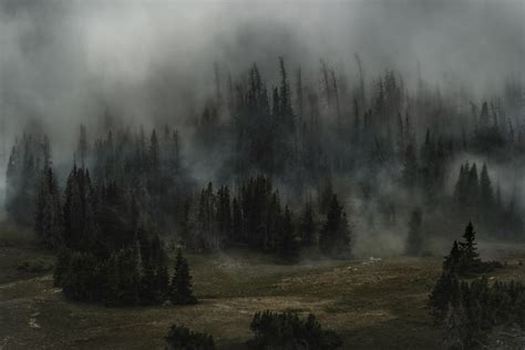 10 Dataframe Tricks With Pandas Python Tutorial