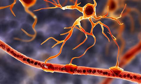 16 Facts About Tesco