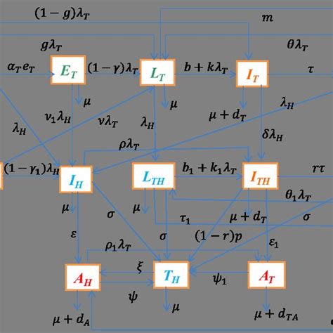 Schematic Diagram For Tb Hivaids Compartmental Model That Includes