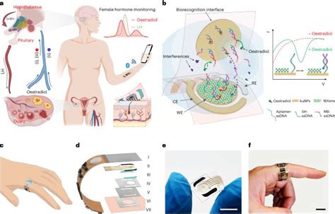 Gregorio Romero Candel On Linkedin A Wearable Aptamer Nanobiosensor For Non Invasive Female