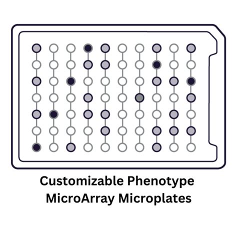 Customizable Phenotype Microarray Microplates Instrumedshop