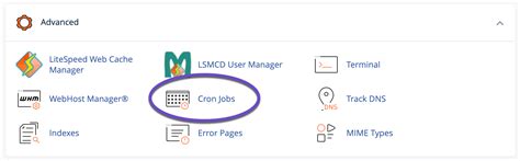 how to setup and manage cron jobs in cpanel