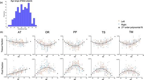 Figures And Data In Spatiotemporal Tissue Maturation Of Thalamocortical Pathways In The Human