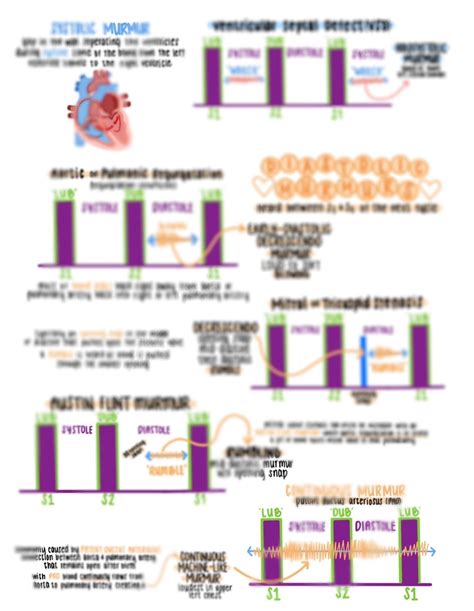 Heart Murmurs Nursing Notes For Nurses Etsy