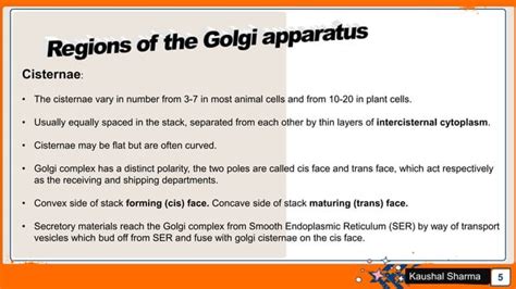 Protein Sorting And Transport Through Golgi Complex Pptx