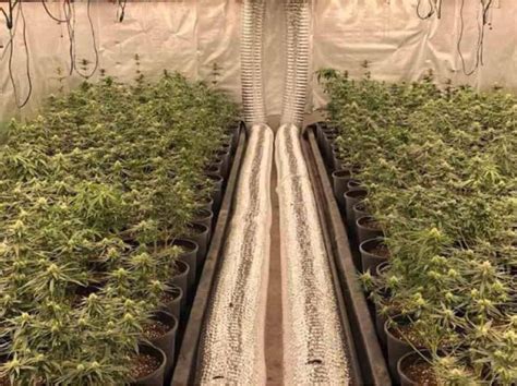 Отворена среща с кандидатите за общински съветници от политическа партия Величие в община