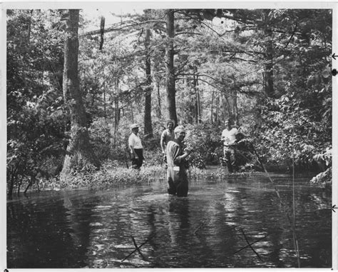 Louisiana Purchase 1800s
