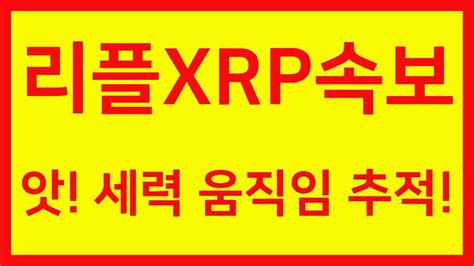 리플 코인 전망 Xrp 수급 분석 앗 세력 및 고래 움직임 추적 헐~ Youtube