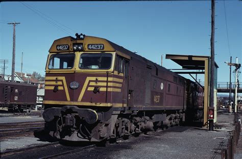 New South Wales Railroad Baureihe 442 Class