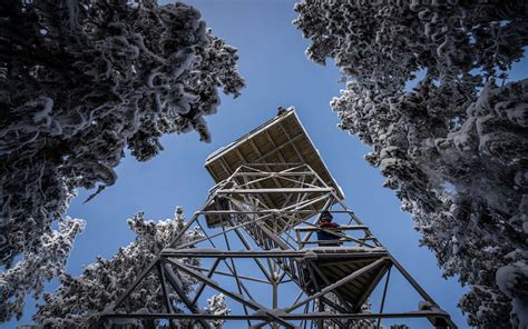 Muddus National Park Laponia Adventures