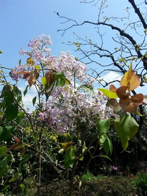 강훈 아침기도 그의 계명을 지키는 자는 주 안에 거하고 주는 그의 안에 거하시나니 우리에게 주신 성령으로 말미암아 그가 우리 안에 거하시는 줄을 우리가 아느니라 요한일서