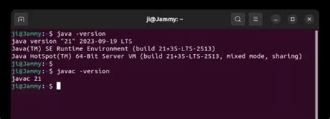how to install oracle java jdk 21 updated in ubuntu 20 04 ubuntu 22