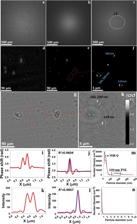 Reconstruction Of The Intensity Information For 100 Nm Psl Particles In