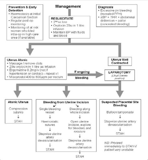 How Common Is Internal Bleeding After C Section At John Mellon Blog
