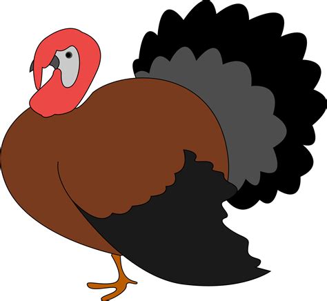 Big Fat Turkey Illustration Vector On White Background 13482291