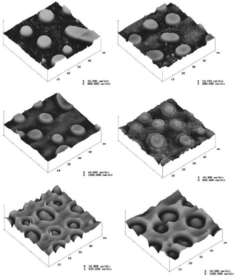 Figure 1 6 From Morphological Control Of Polyethylene Oxide