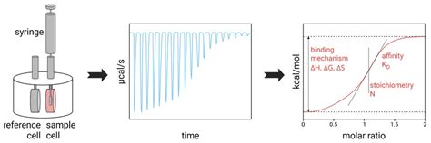 ITC Isothermal Titration Calorimetry Services Bind