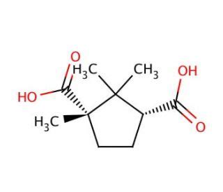 1S 3R Camphoric Acid CAS 560 09 8 SCBT Santa Cruz Biotechnology