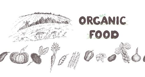 야채 호박 브로콜리 브뤼셀 콩나물 감자 사탕무 무 가지 완두콩 당근 아스파라거스 고추 유기농 천연 식품의 벡터 일러스트레이션 시골 풍경 가지 채소에 대한 스톡 벡터 아트 및